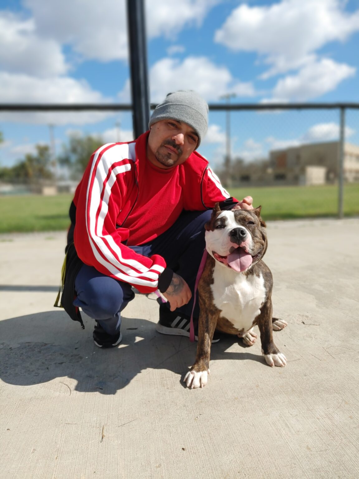 Apache Country - American Pit Bull, American Bullies - California